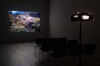 Forest Complex: art and the regeneration of forests
