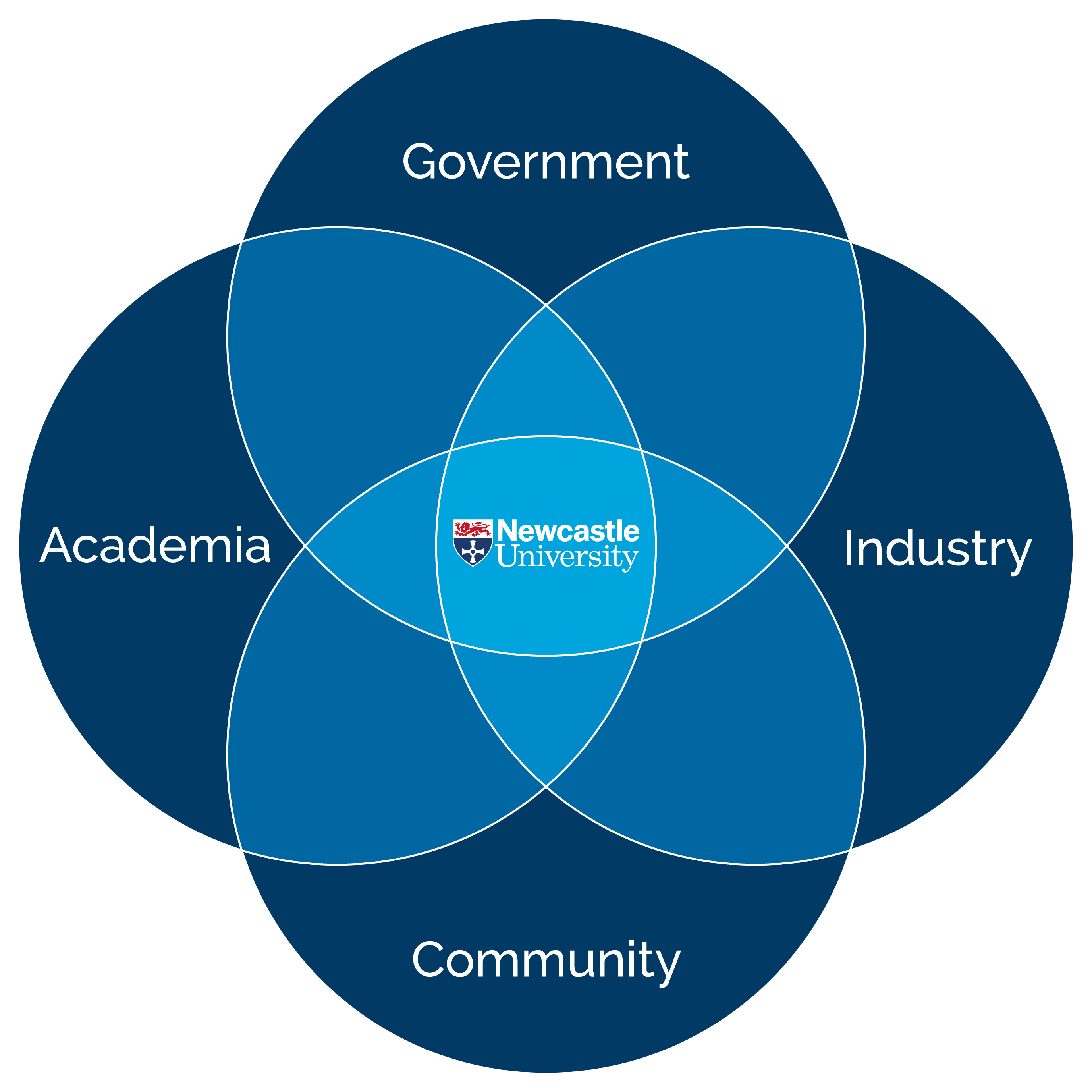 Shaping the future: Newcastle and the 4th Generation University